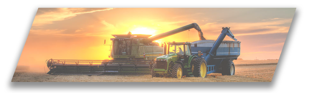 Home [globalfarmwork.co.za]